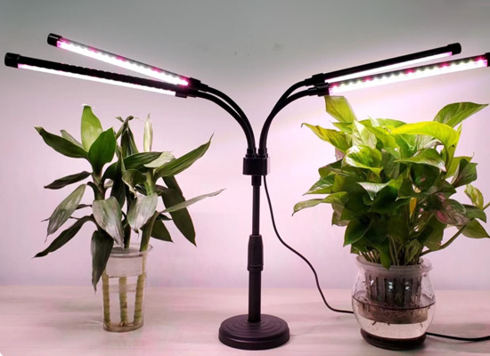 Plant Grow Light, Plant Growing Lamps, Greenhouse Lighting ...