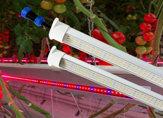 Plant Grow Light, Plant Growing Lamps, Greenhouse Lighting ...